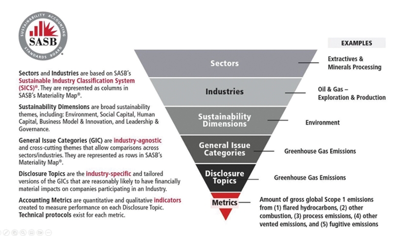 Advancements in Sustainability: Vintage Wine Estates Shares ...